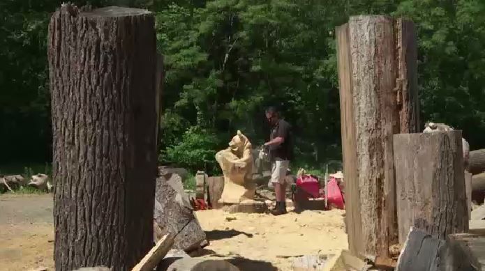 Owner of 'Chainsaw Creations' Continues Carving Impressive Wooden Creatures
