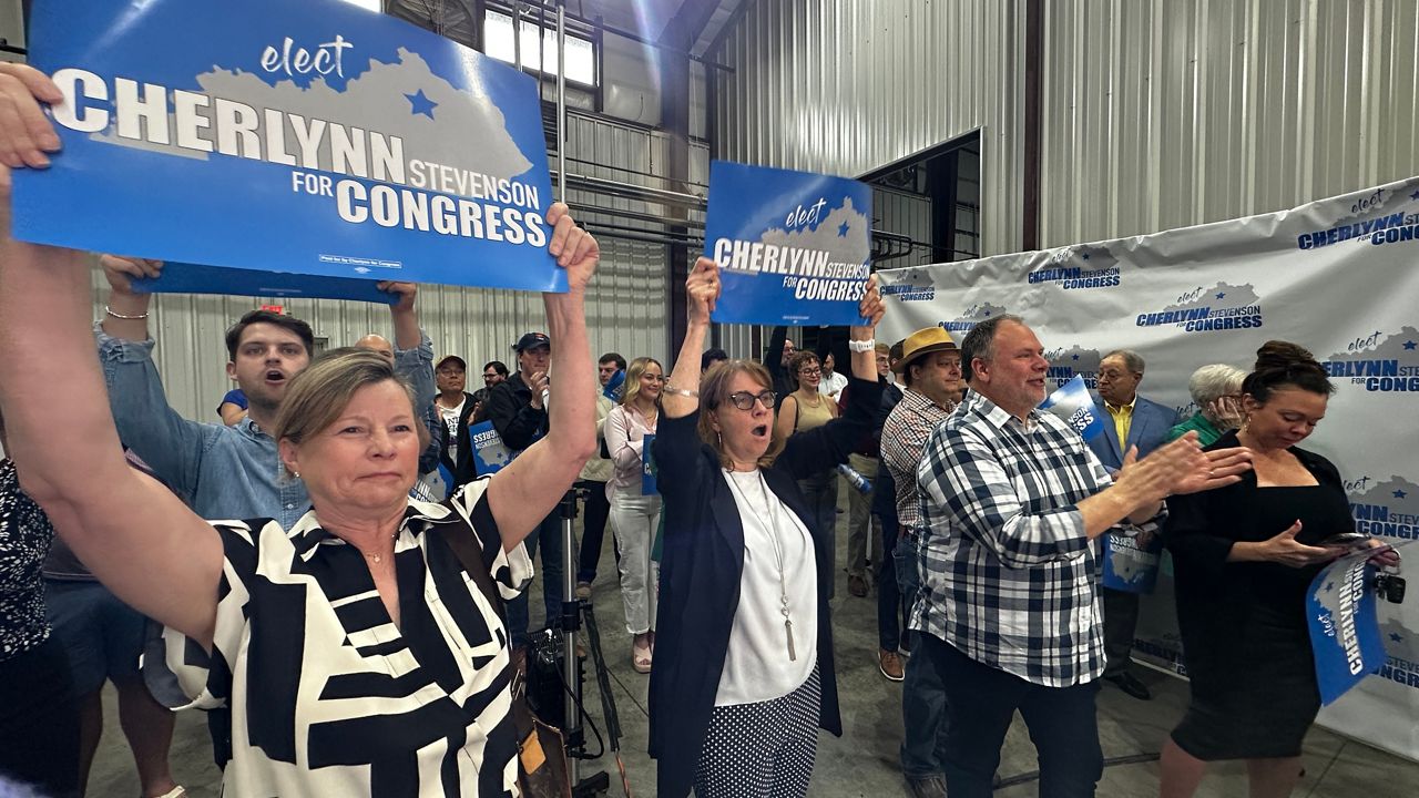 Cherlynn Stevenson announces run for Congress