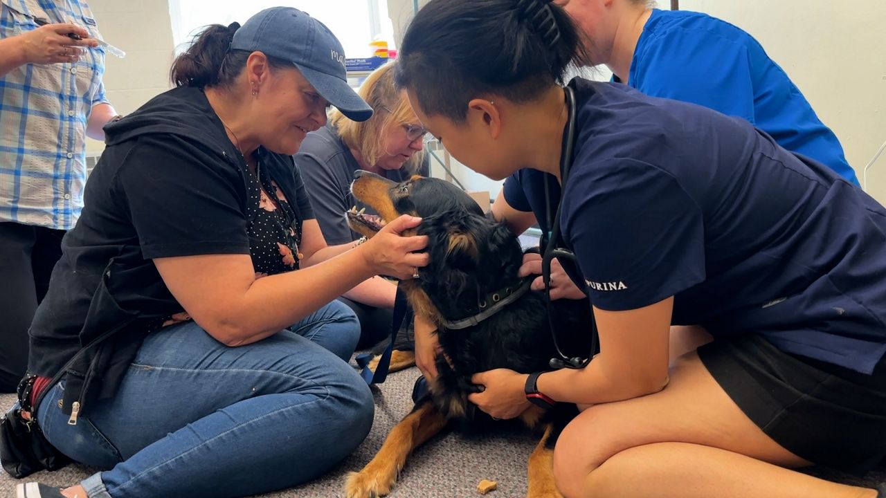 University hosts Dog health study in East Palestine