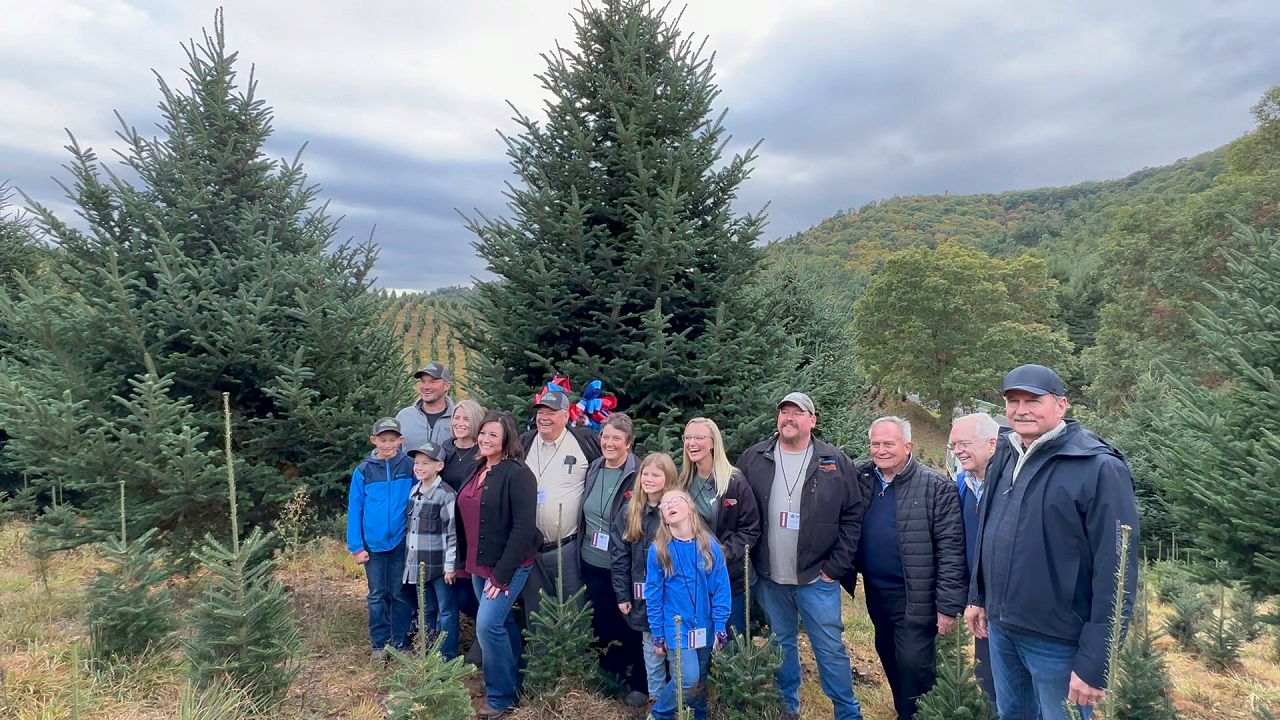 White House staff chooses the new Christmas tree