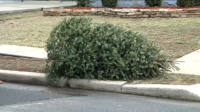 When the city will start curbside pickup of Christmas trees