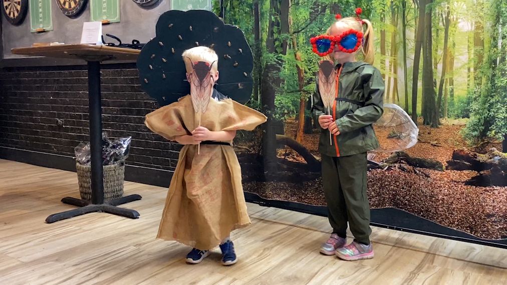 Celebrating Brood X cicadas with a city wide party