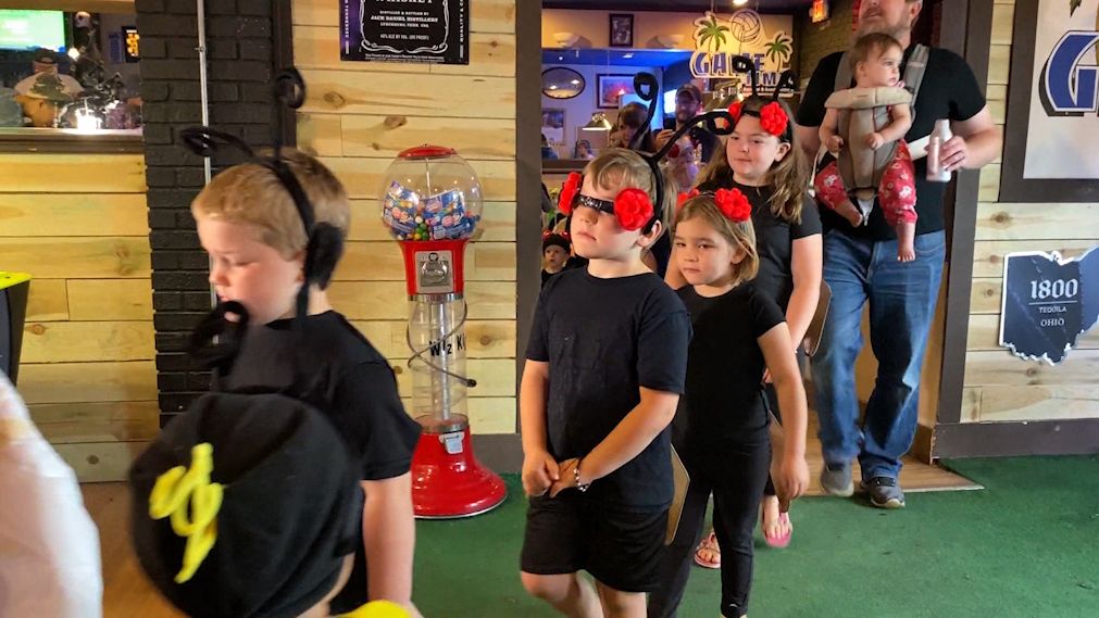 Celebrating Brood X cicadas with a city wide party