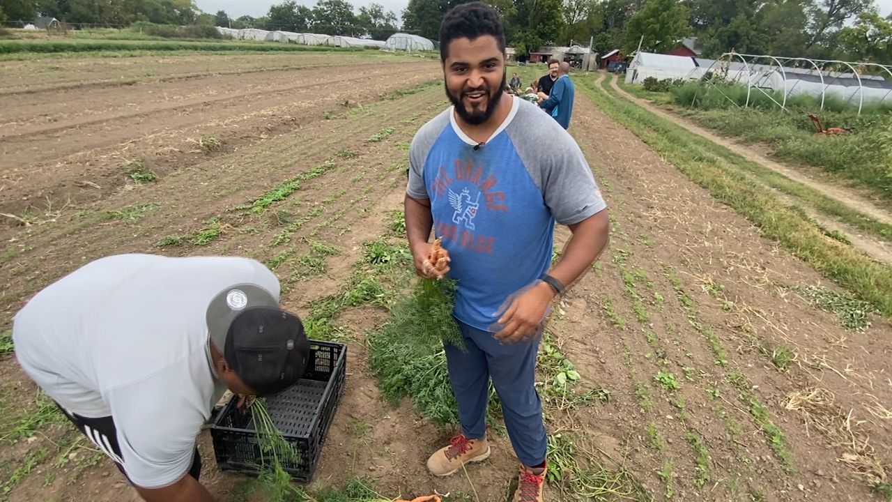 Homeless shelter partners with farming co-op for guests