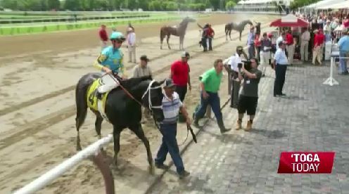 Claiming Races Offer Lesser Horses a Better Chance to Compete