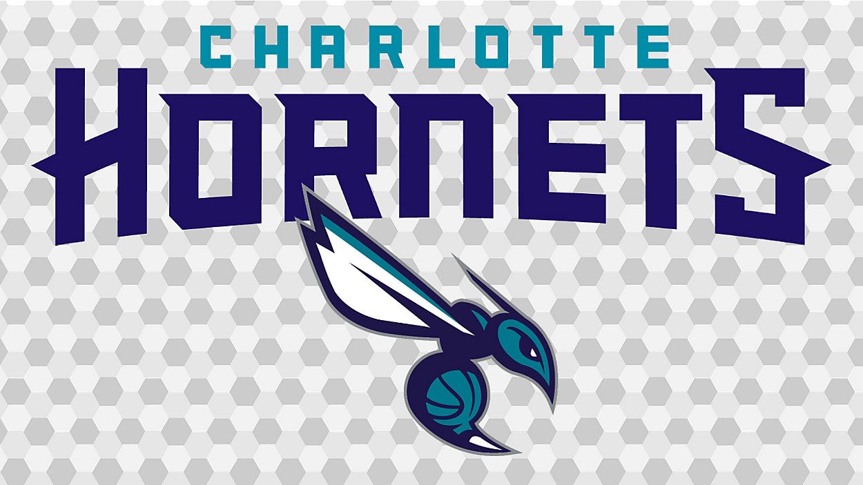 Hornets Use Balanced Scoring to Beat Bulls