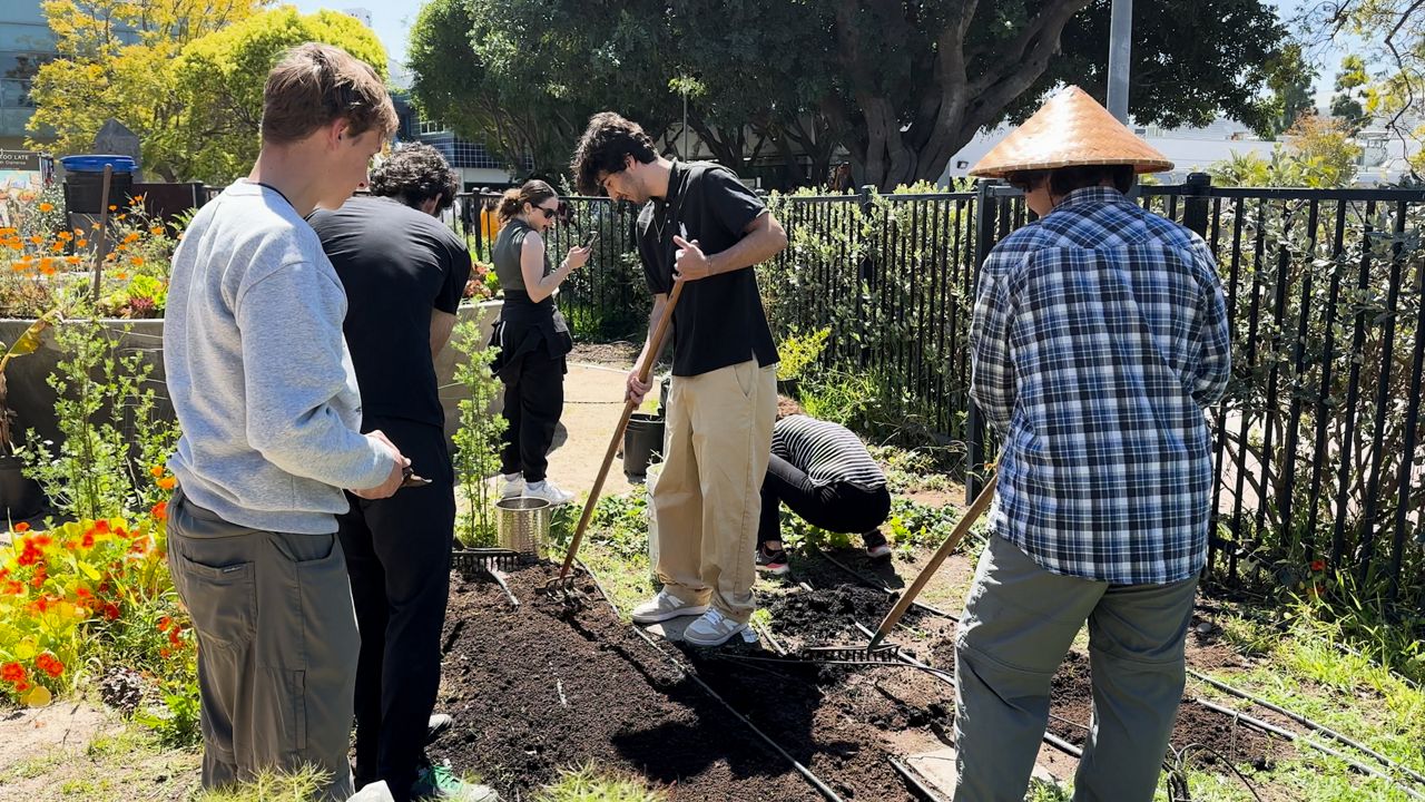 Organic Learning Garden on SMC campus teaches sustainability