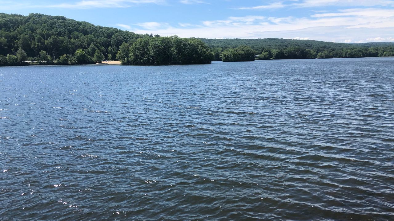 Councilor Weighs In on Coes Pond