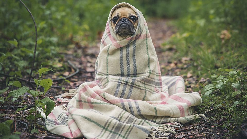 Turning Much Chillier This Weekend