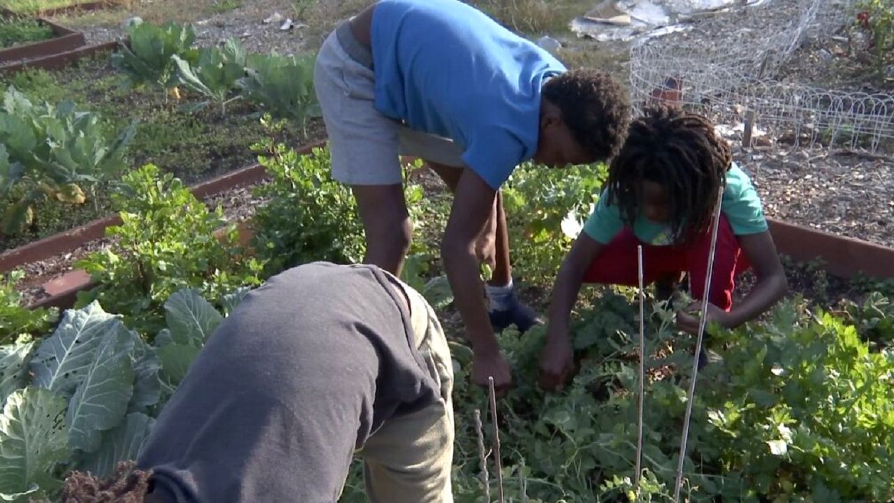Farmer Helps People Get Quality, Affordable Produce