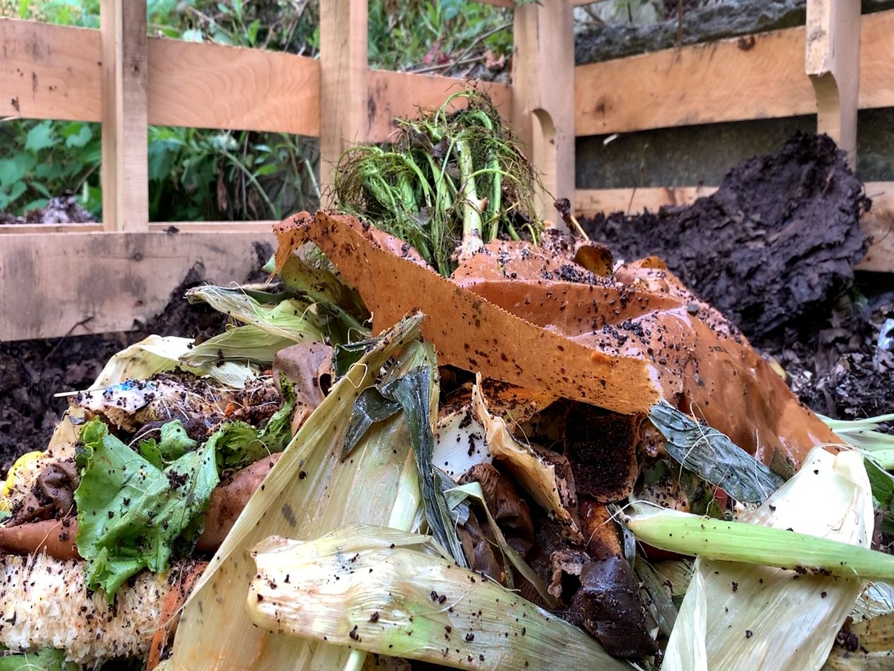 At-home composting used to reduce waste and help environment