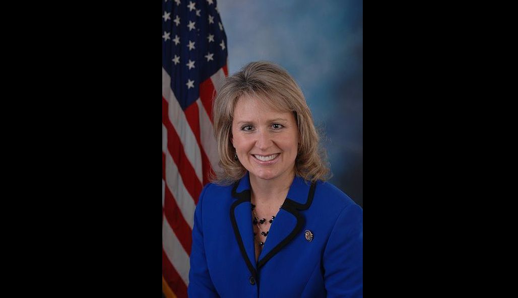 Donald Trump Endorses Renee Ellmers