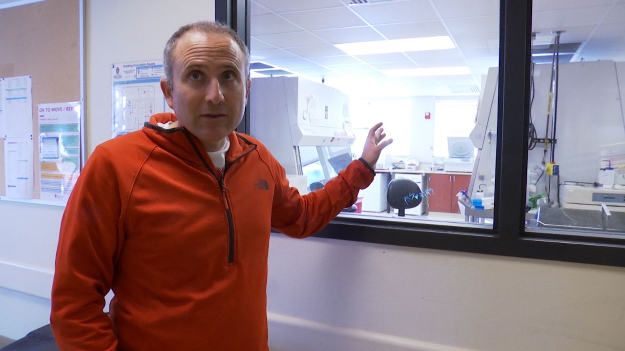 UW Researchers aim to understand and help fight coronavirus