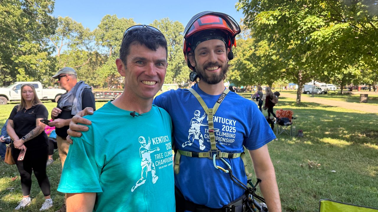 Arborists climb to new heights to preserve Louisville trees