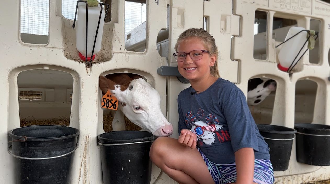 Kids get hands-on experience at West Bend cow camp