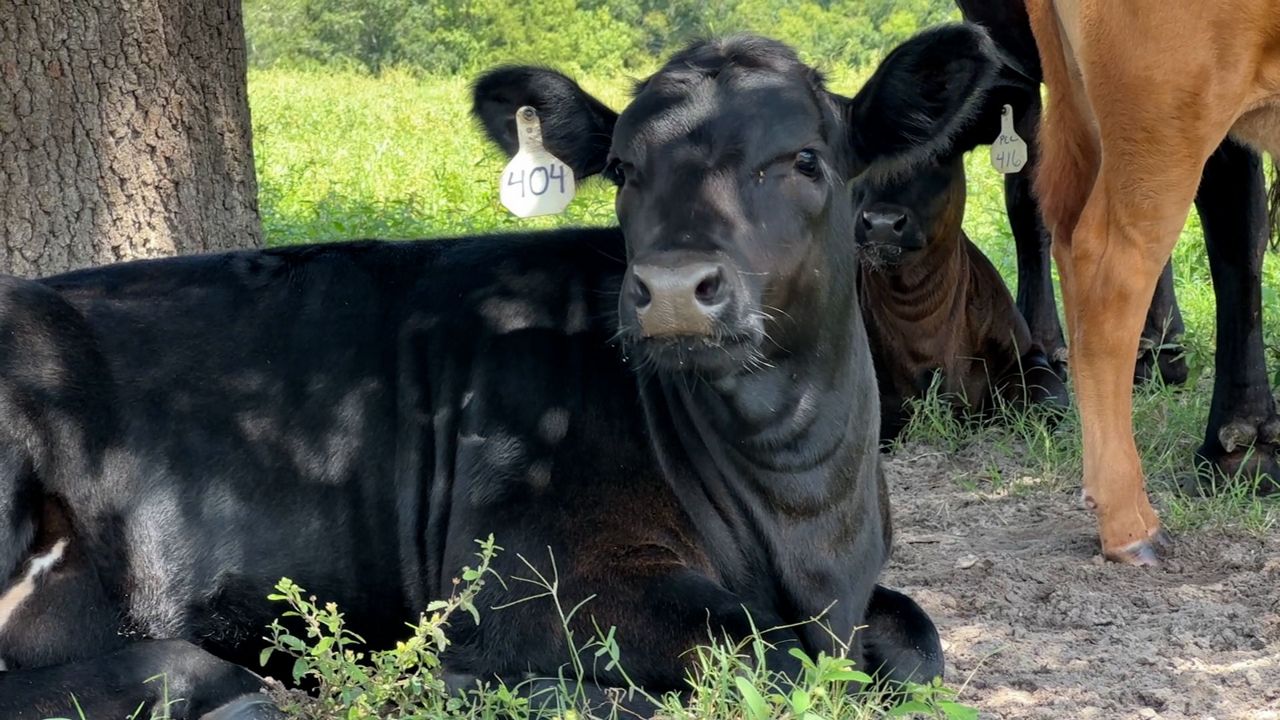 Kerala sex grils thankful we didn't dislocate her knee but