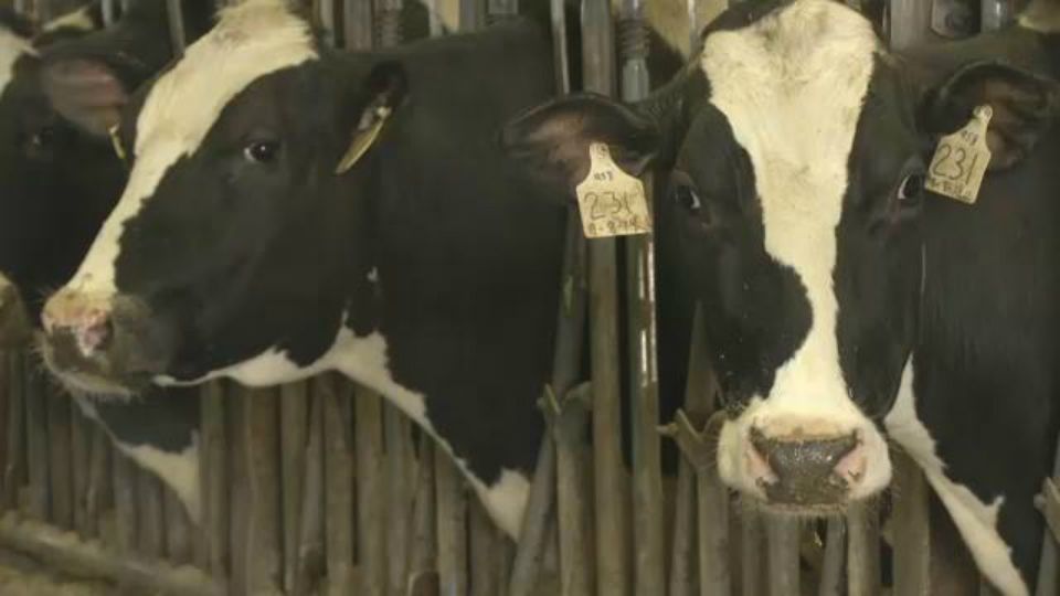 Response to Failed Farm Bill Reauthorization