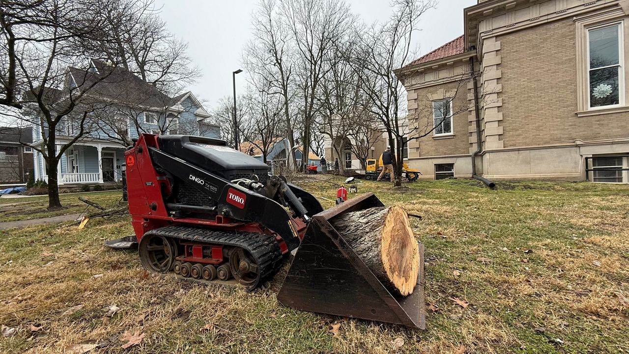 Crescent Hill Library Makeover