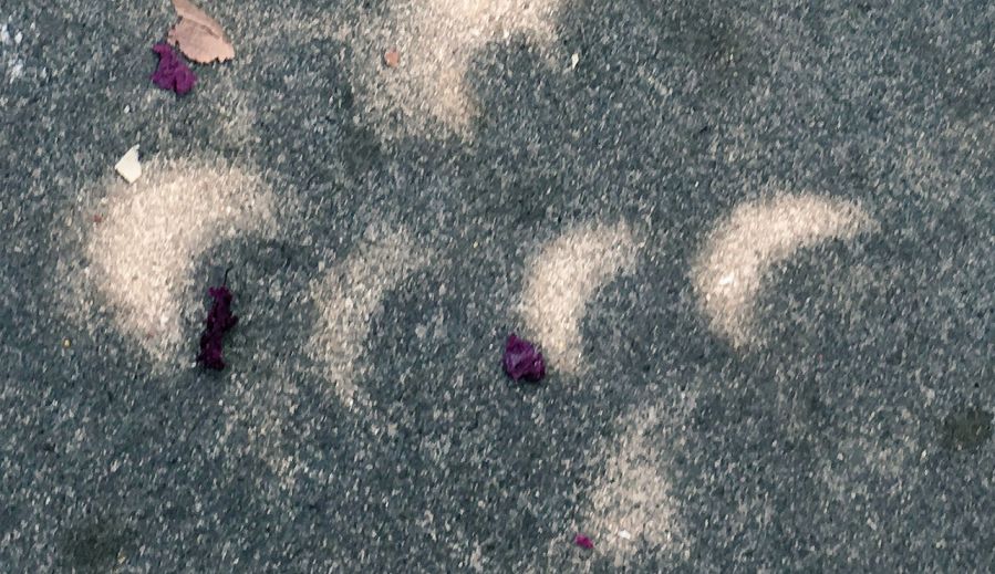 Solar eclipse guide: Central Texas watch parties, safe viewing tips and ...