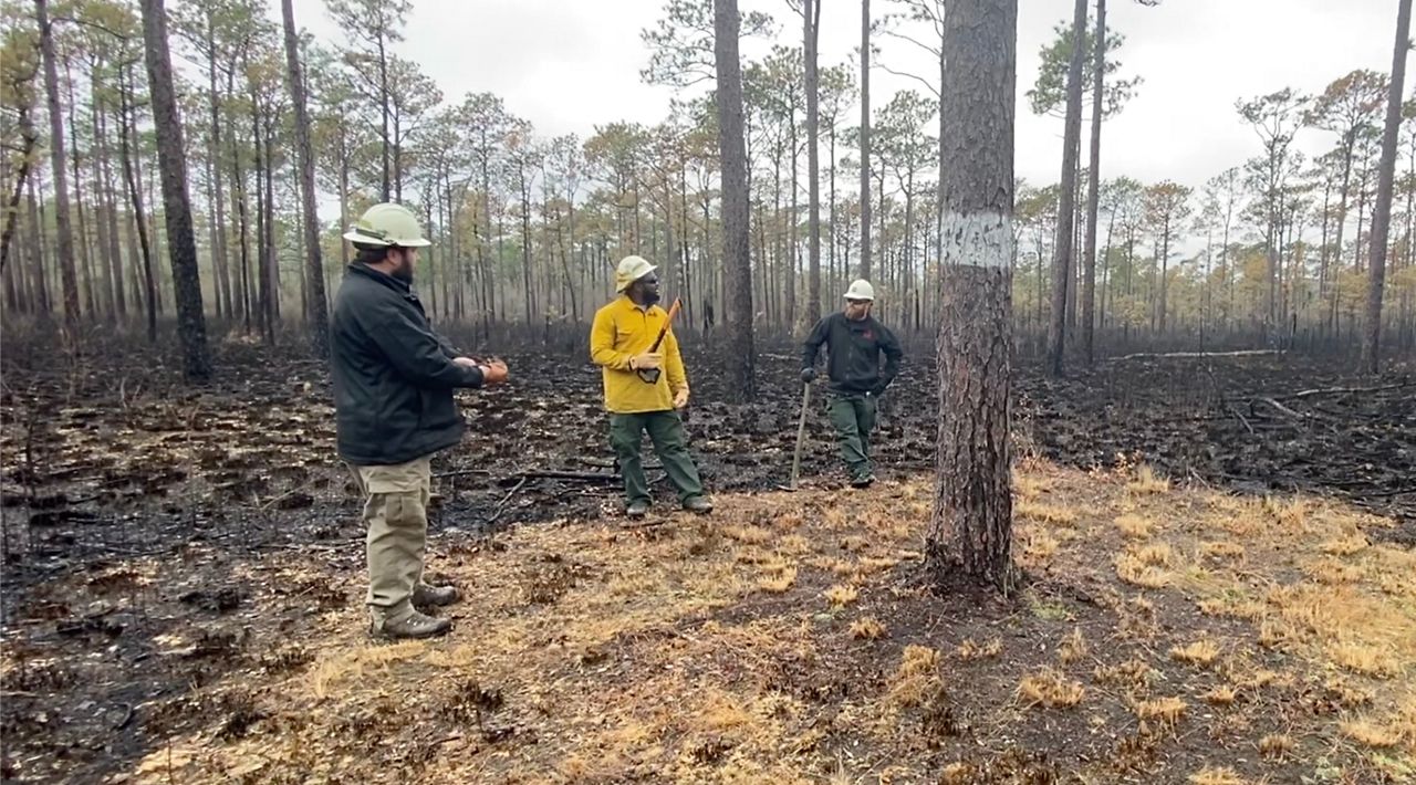 Prescribed burns in NC