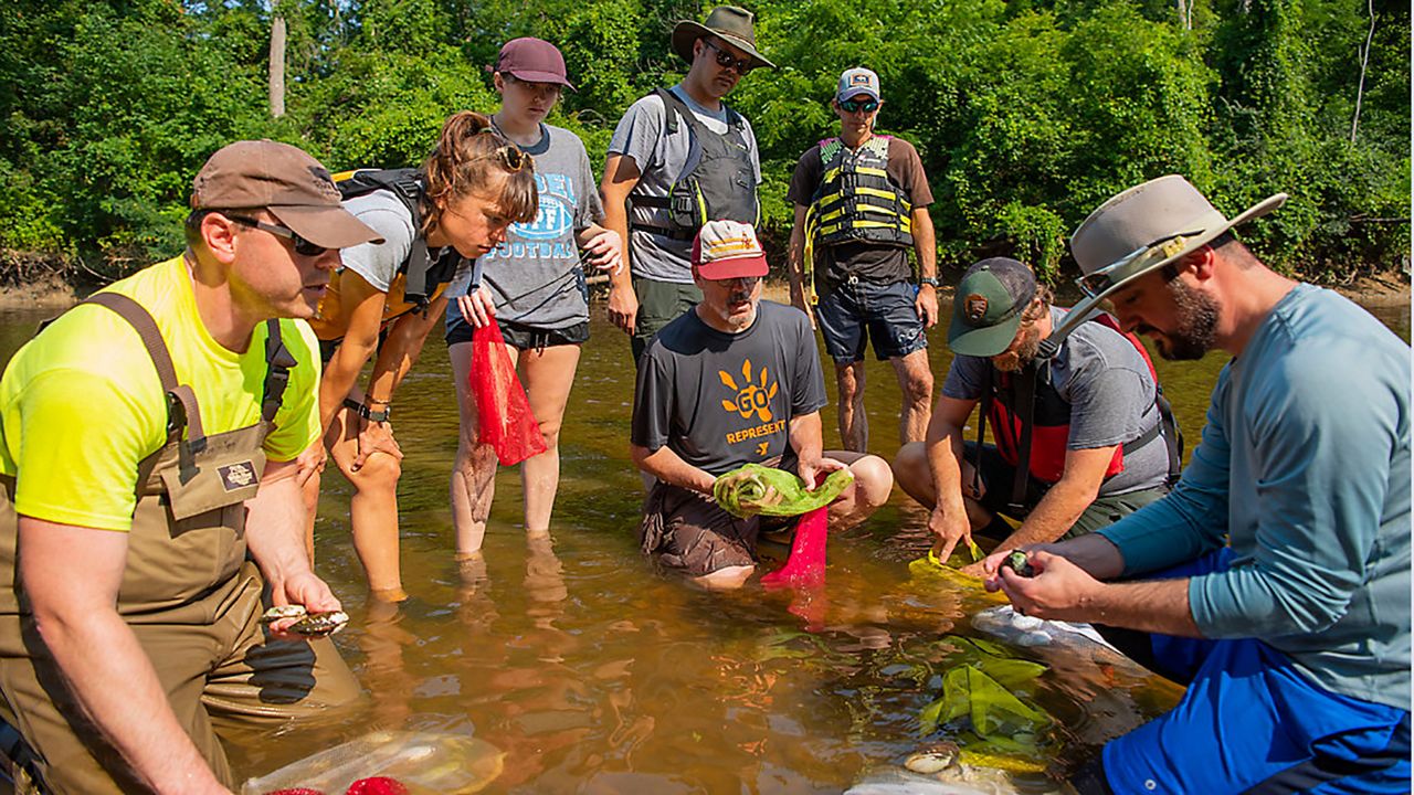 CVNP partners with organizations to reintroduce species
