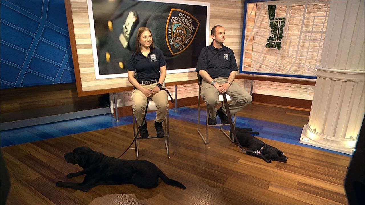 NYPD dogs sniff out cyber crime
