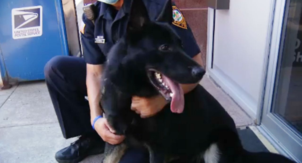Utica Police Welcome German Shepherd Dak to the Force