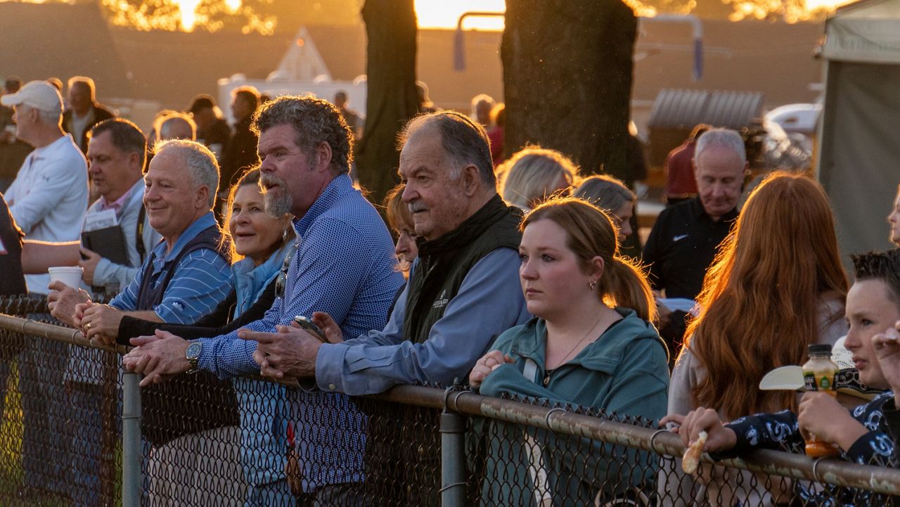 Amanda Bledsoe on In Focus