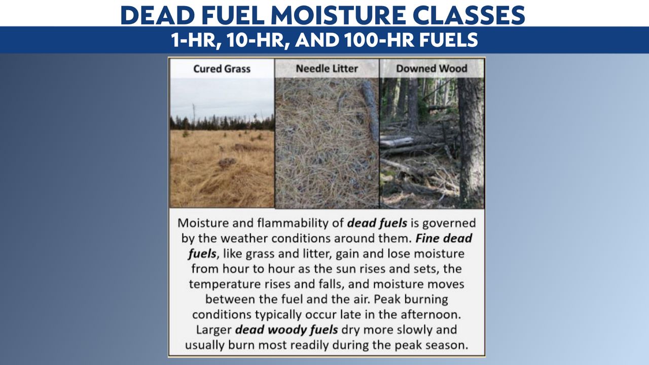 Fire Danger What Are Critically Dry Fuels 