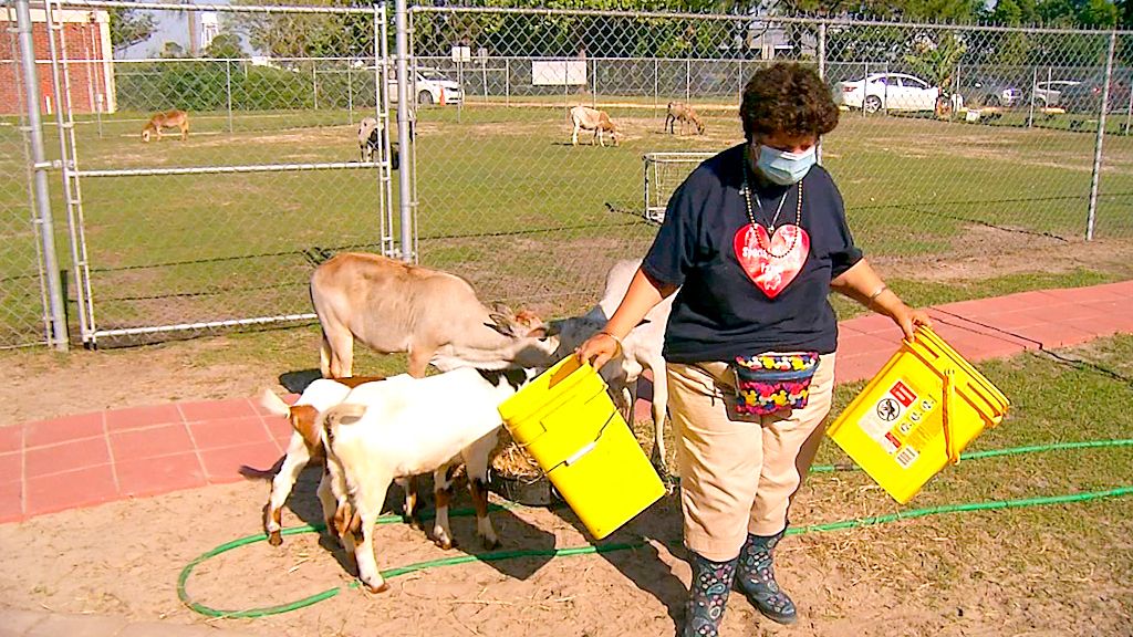 Winter Garden farm strives to help people with disabilities