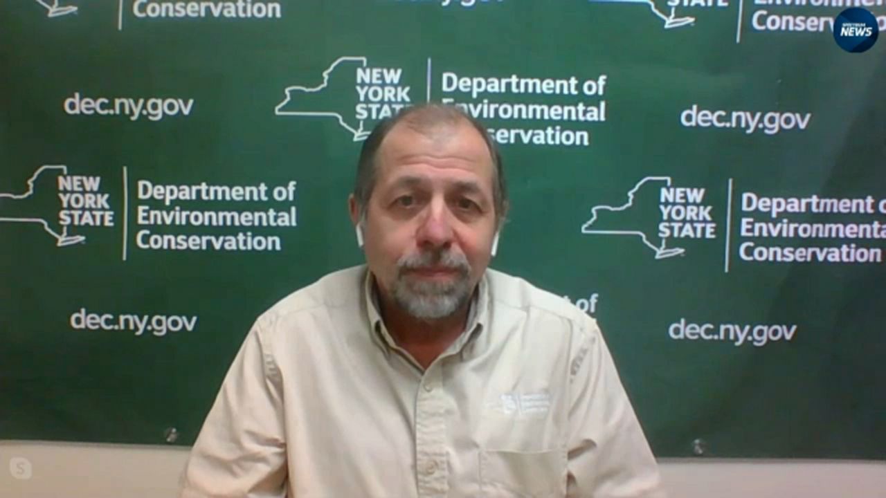 DEC Expert Offers Safety Tips for Hunting Season