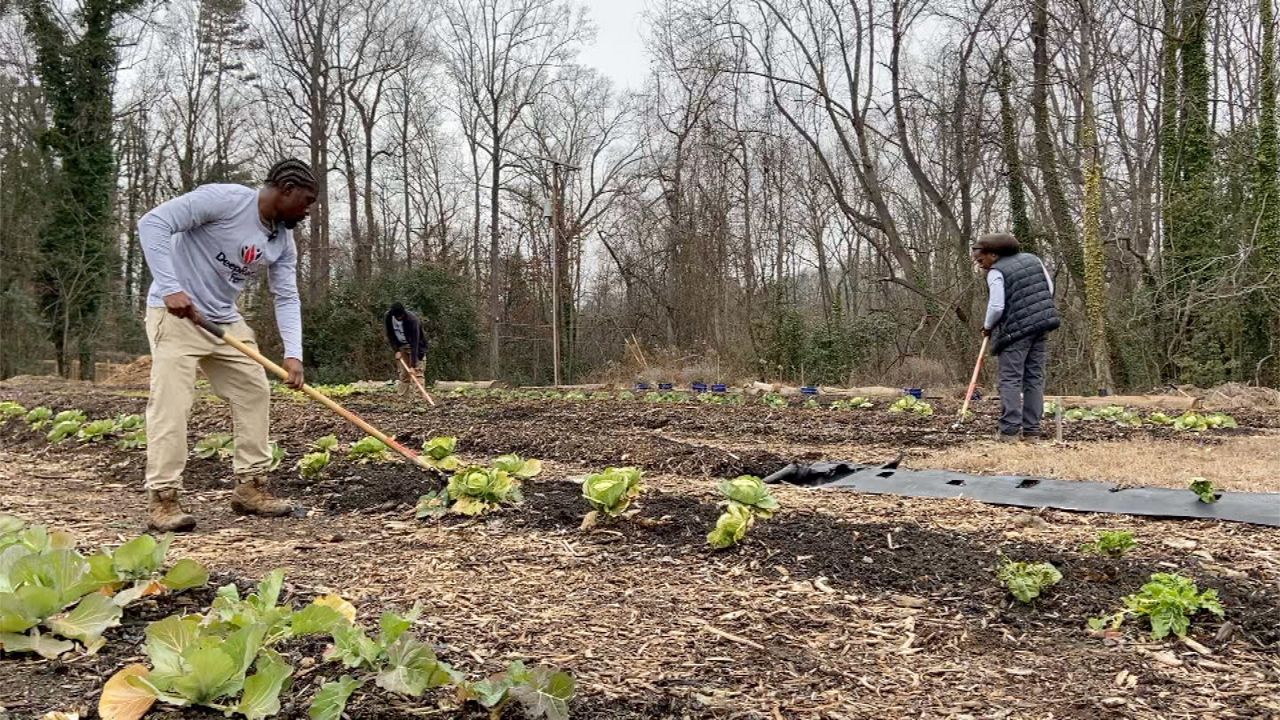Charlotte Urban Farm Working to Cultivate More Black Famers