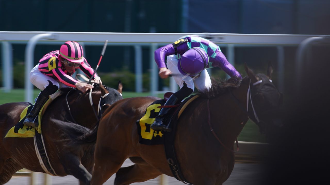 Evening Briefing in the Bluegrass