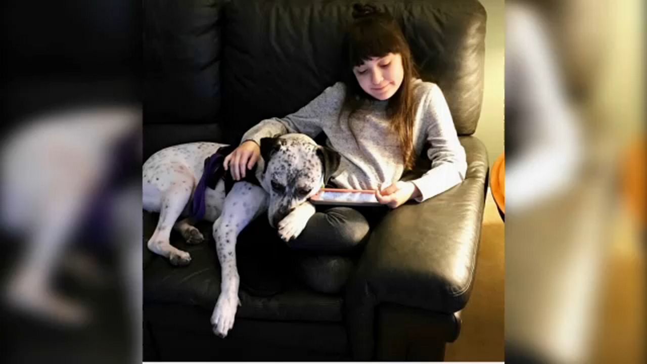 DOJ, Gates Chili CSD Reach Agreement in Lawsuit