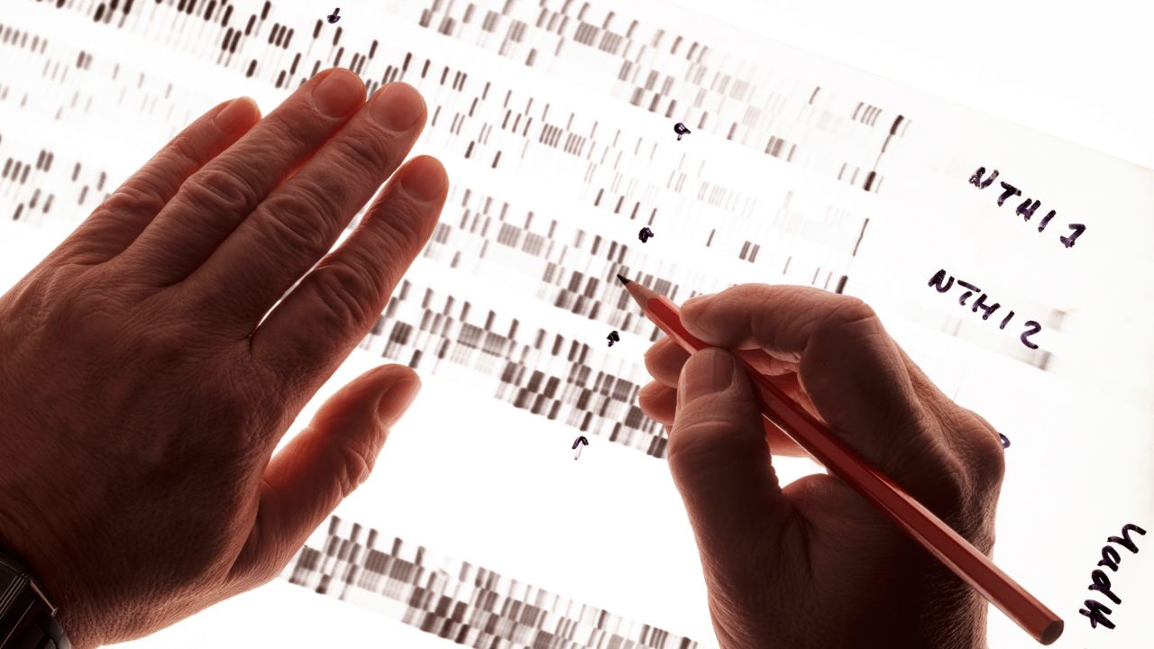 Kentucky State Police identify human remains