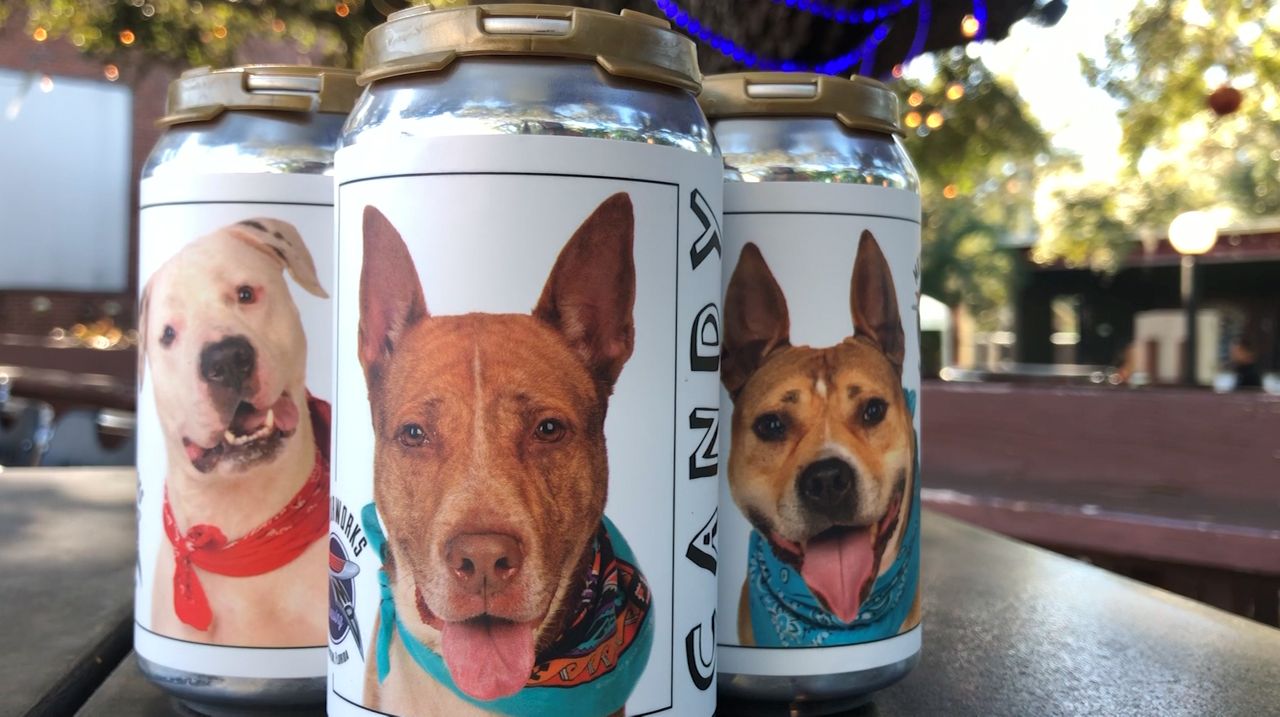 Bradenton Brewery Puts Dogs in Need of Homes on Beer Cans