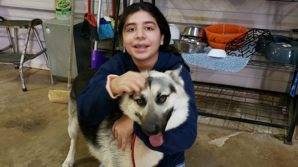 Round Rock Girl Reunited with Her Missing Dog