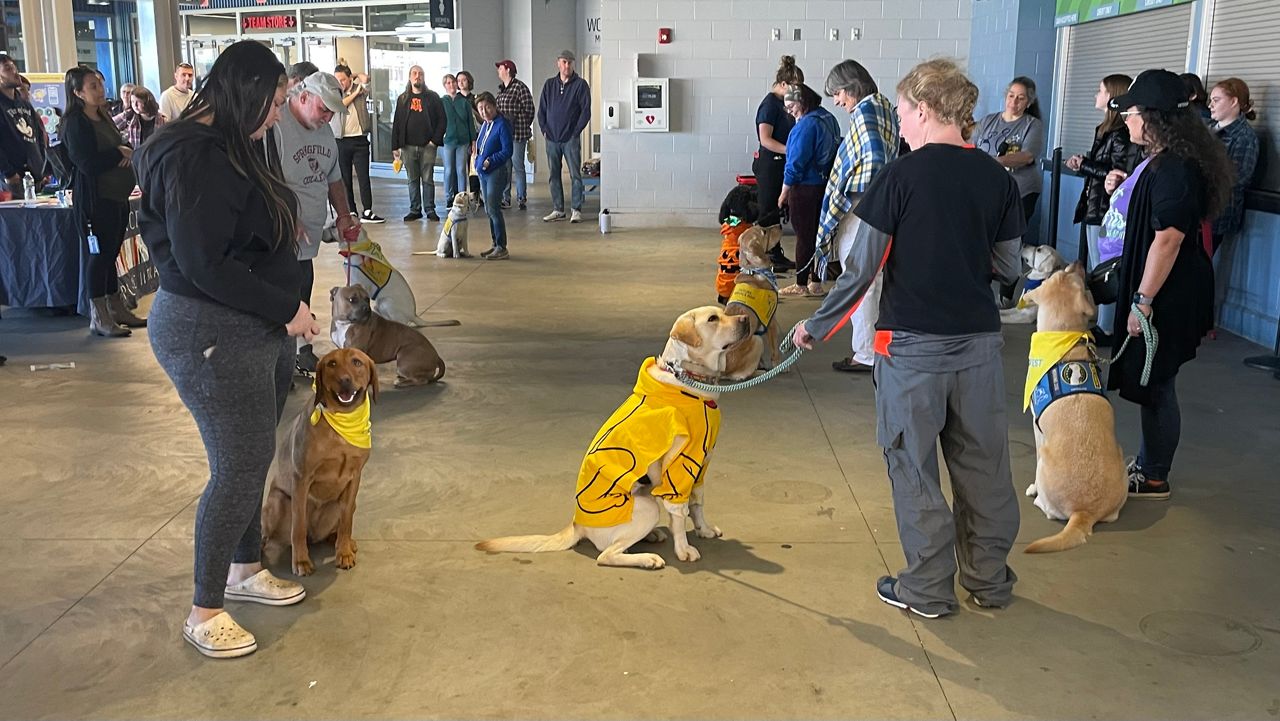 DogFest New England returns to Worcester