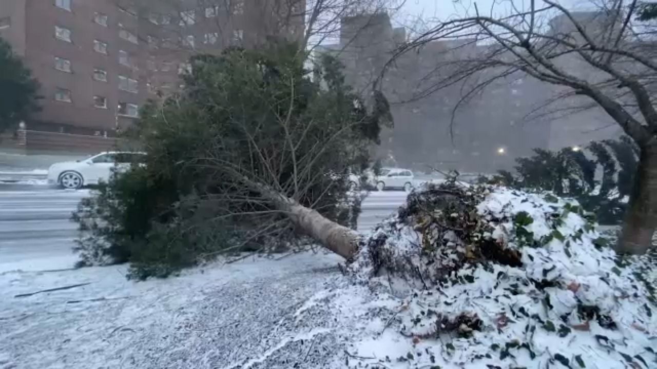 Gov. Hochul provides Saturday night storm update