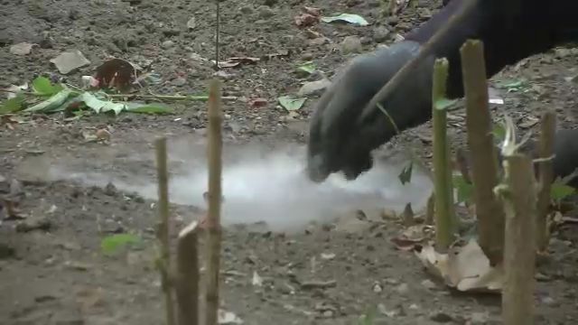 City Health Dept. Hopes Dry Ice Can Eliminate Its Rodent Problem