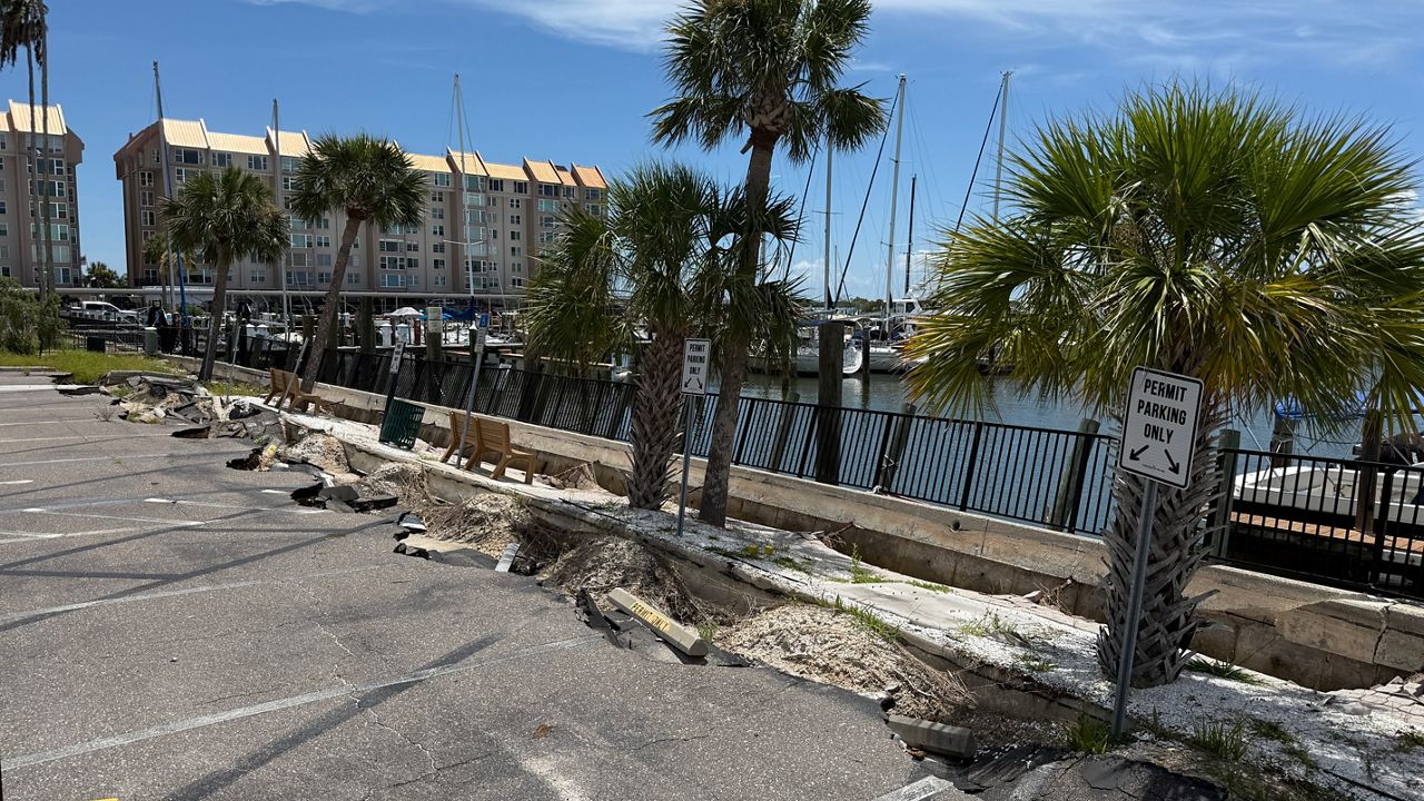 Boaters can finally return to the Dunedin Marina