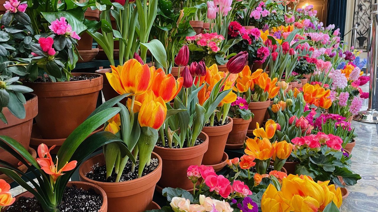 Spring is in the air at the George Eastman Museum