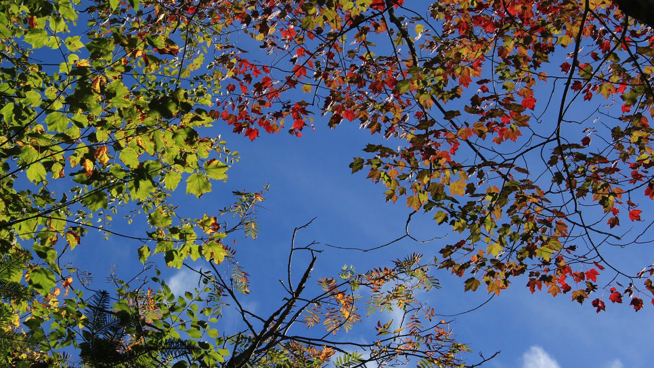 Dry Weather Continues Through End of Work Week