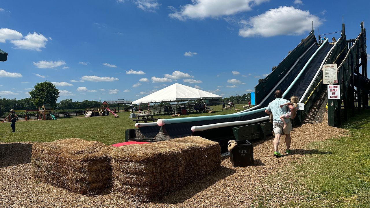 Families flock to Eckert's Orchard for Memorial Day fest