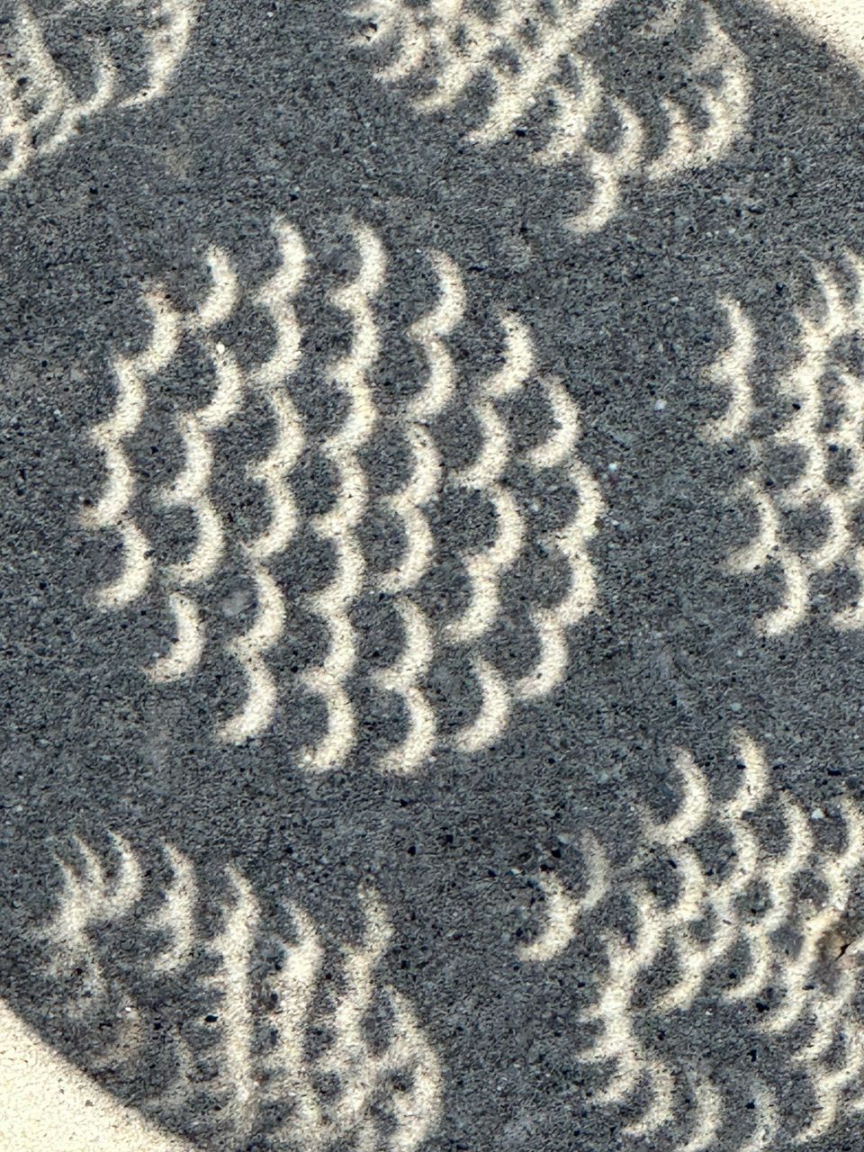 PHOTOS: Solar eclipse crosses Wisconsin