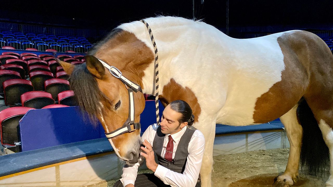 Here's a Sneak Peak of the Unbelievable Big Apple Circus