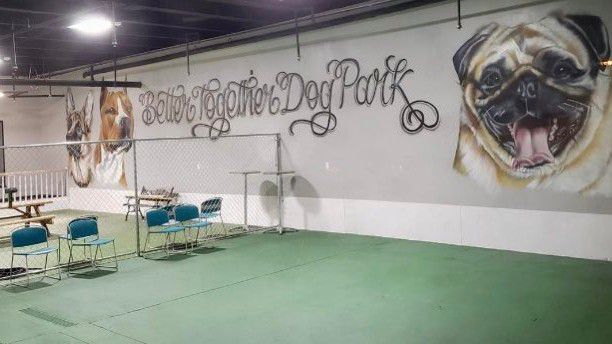 Better Together Dog Park Is a Place for Pups and People in Rochester