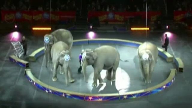 Ringling Brothers Circus Says Goodbye to Elephants