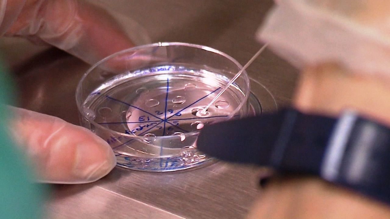 CDC reports rise in STDs across city