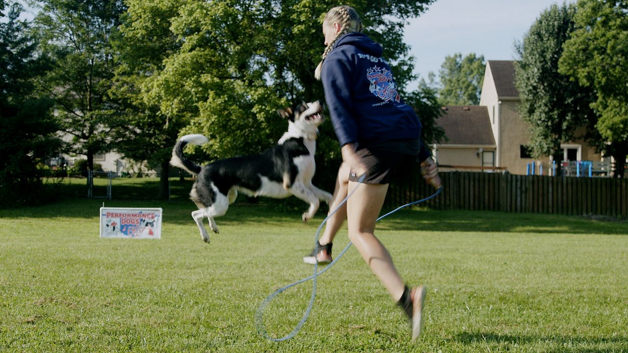 Exploring Ohio: Performance Dogs of Ohio